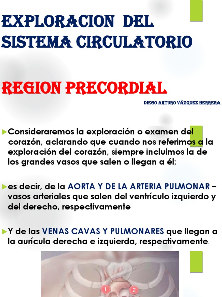 Area Precordial | PDF | Aorta | Corazón