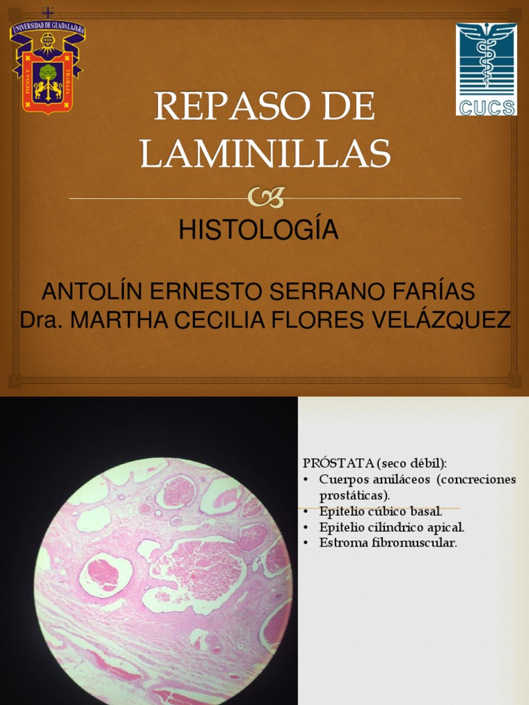 Repaso de Laminillas | PDF | Epitelio | Piel