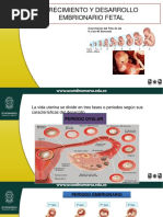 Cápsula de Glisson | PDF | Tejido adiposo | Riñón