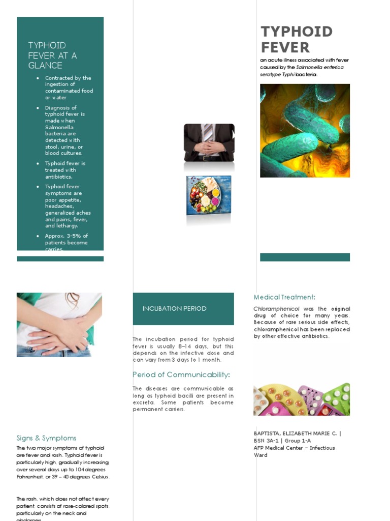 Typhoid Fever at A Glance | PDF | Immunology | Veterinary Medicine