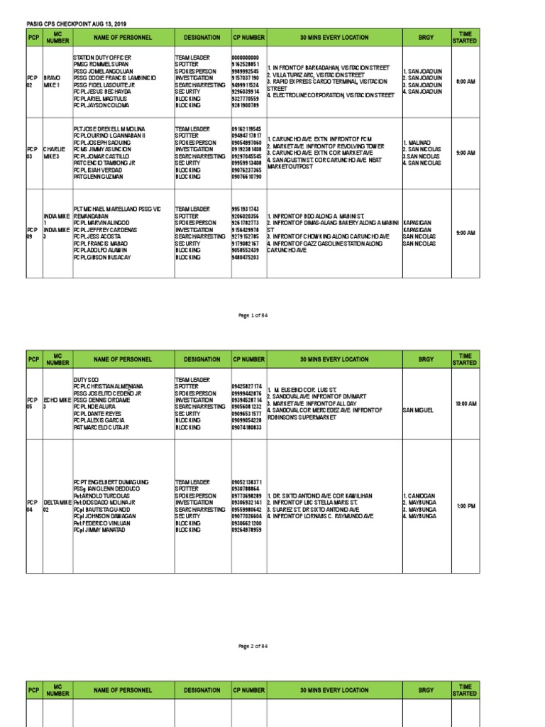 1 1pasig CPS Daily Patrol Deployment Plan Aug 13 2019 Epd | PDF
