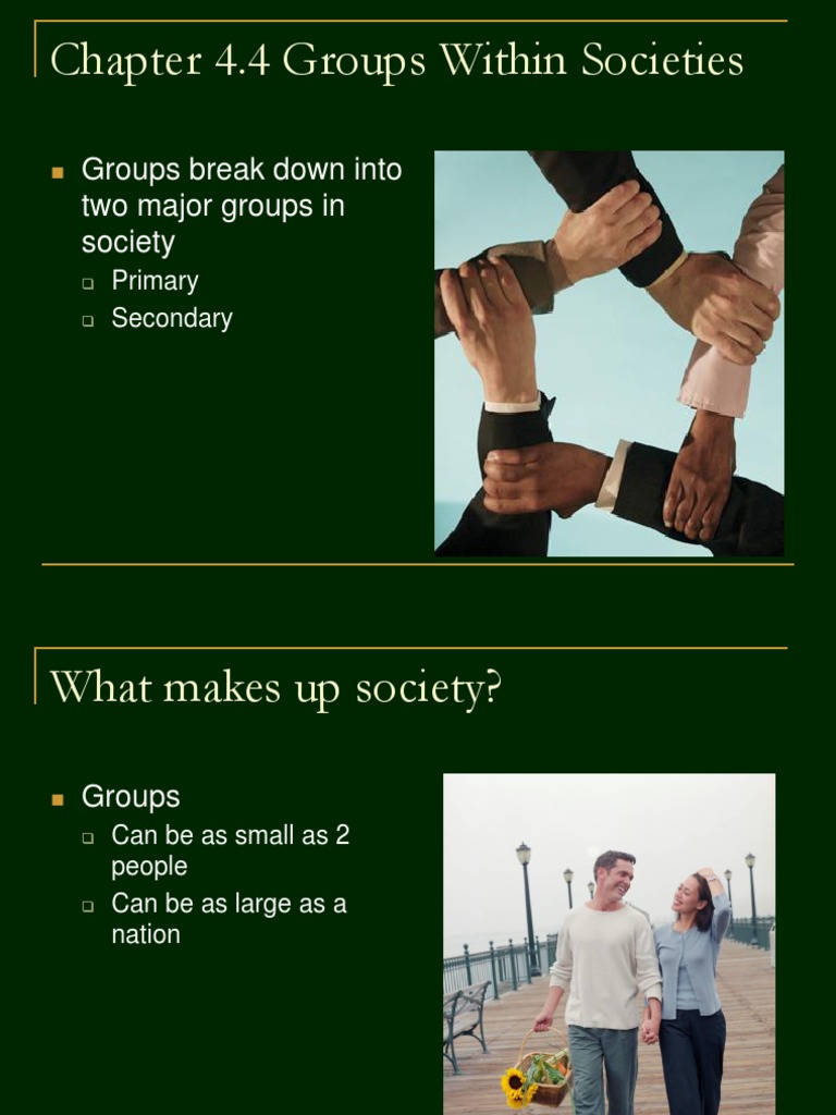 Chapter 4.4 Groups Within Societies: Groups Break Down Into Two Major ...