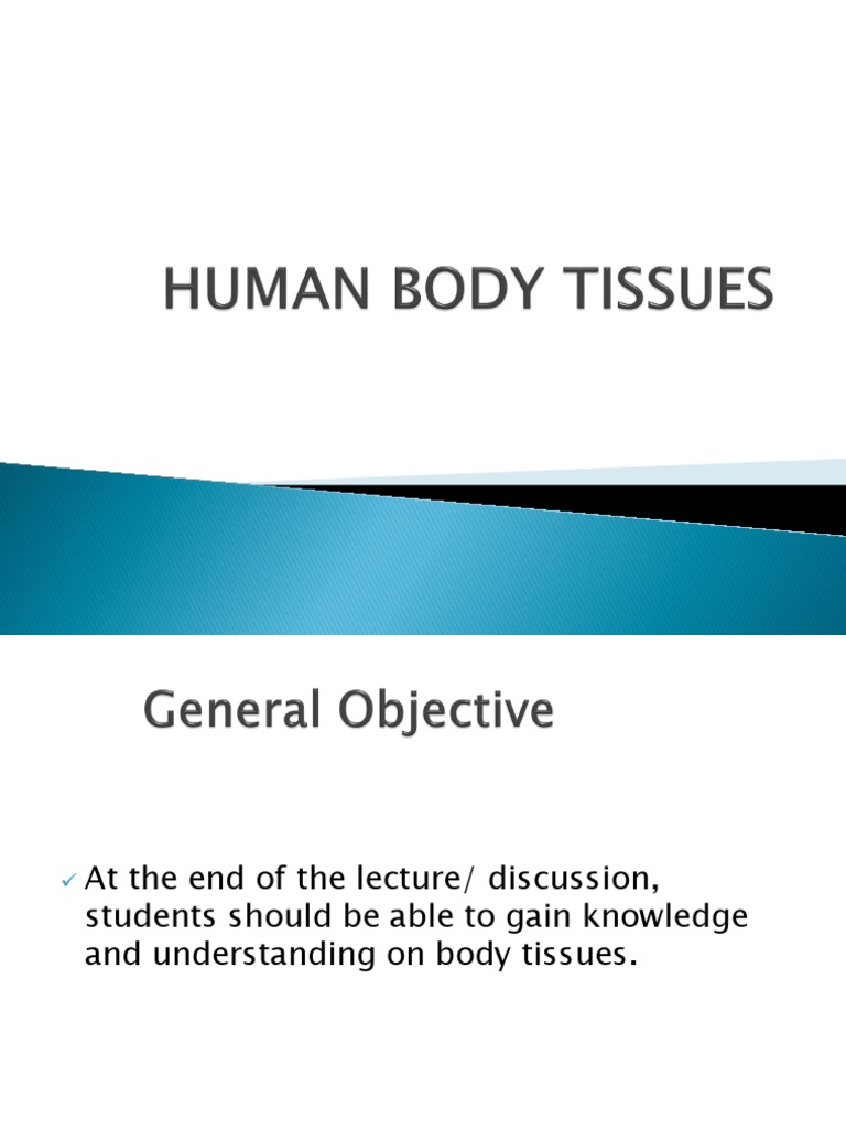 Human Body Tissues Power Point | PDF | Epithelium | Tissue (Biology)