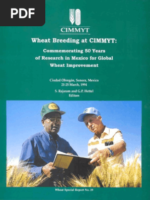 Logotipo Del Cimmyt Mexico – Page 4 – CIMMYT