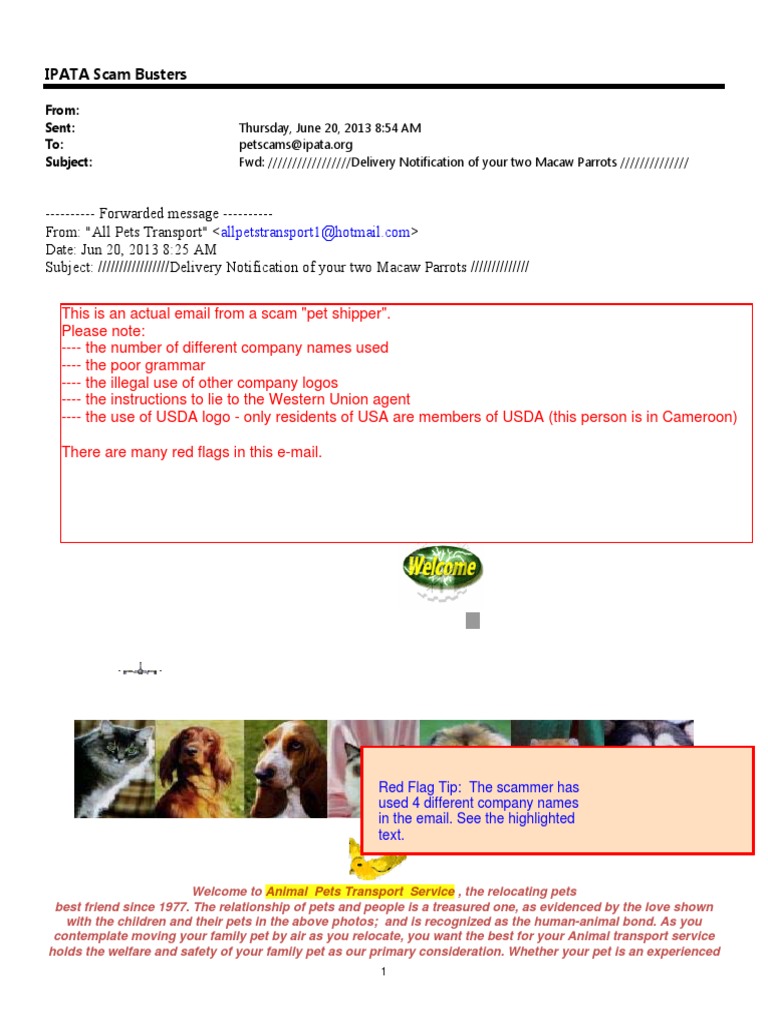 Sample Scammer | PDF | Western Union | Pet