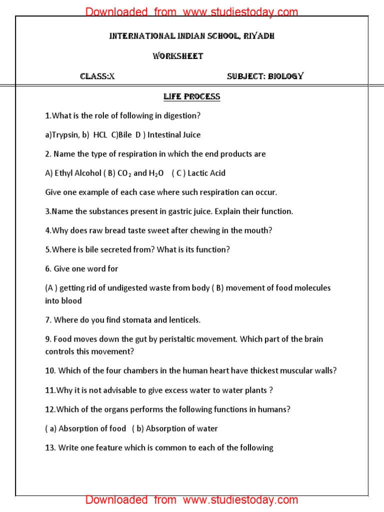 CBSE Class 10 Biology - Life Process | PDF | Digestion | Bile