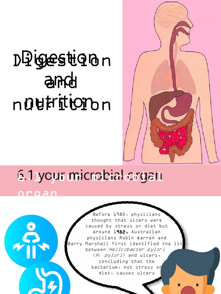 Updated Draft of Circulatory System | PDF | Digestion | Human Digestive ...