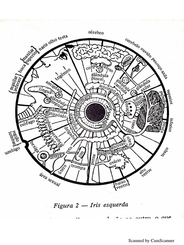 Mapa Da Iris | PDF