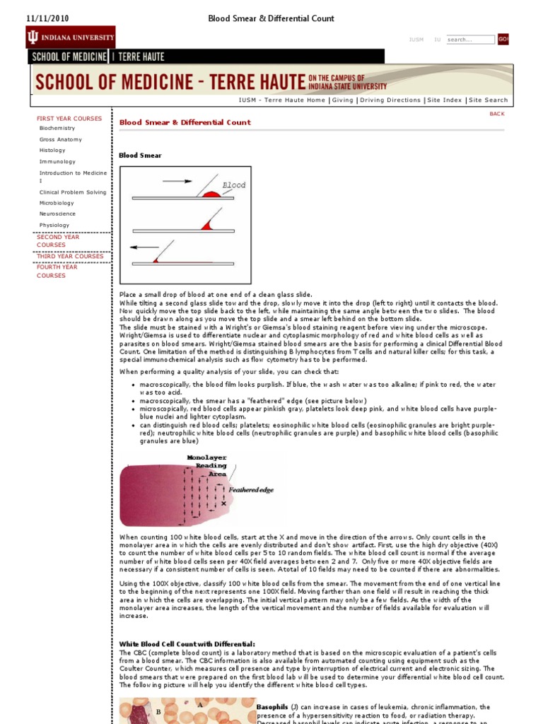 Blood Smear Technique and Analysis | PDF | Blood Cell | Inflammation