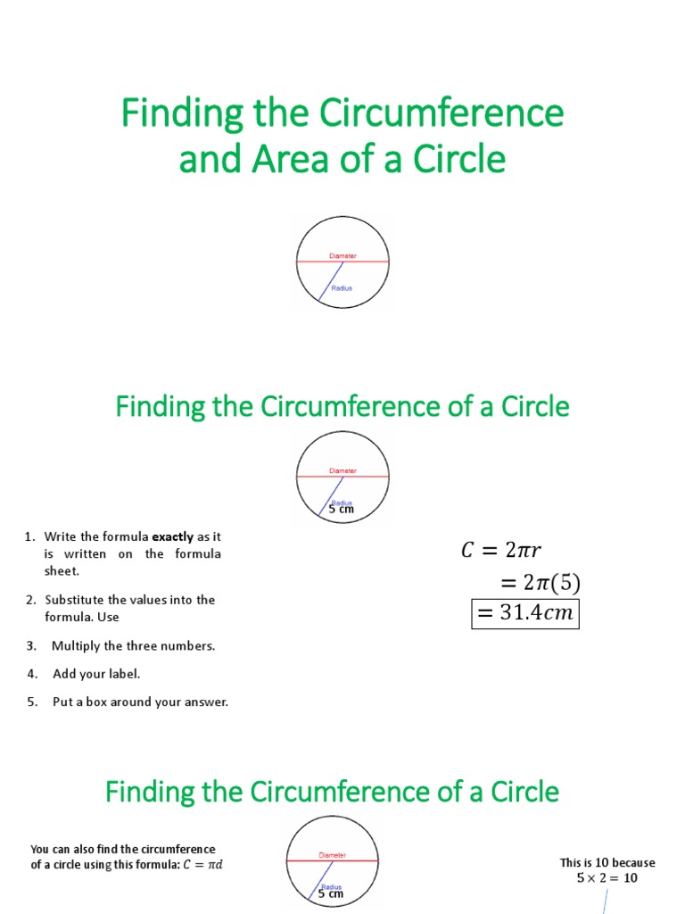Perimeter (Circumference) and Area of A Circle | PDF