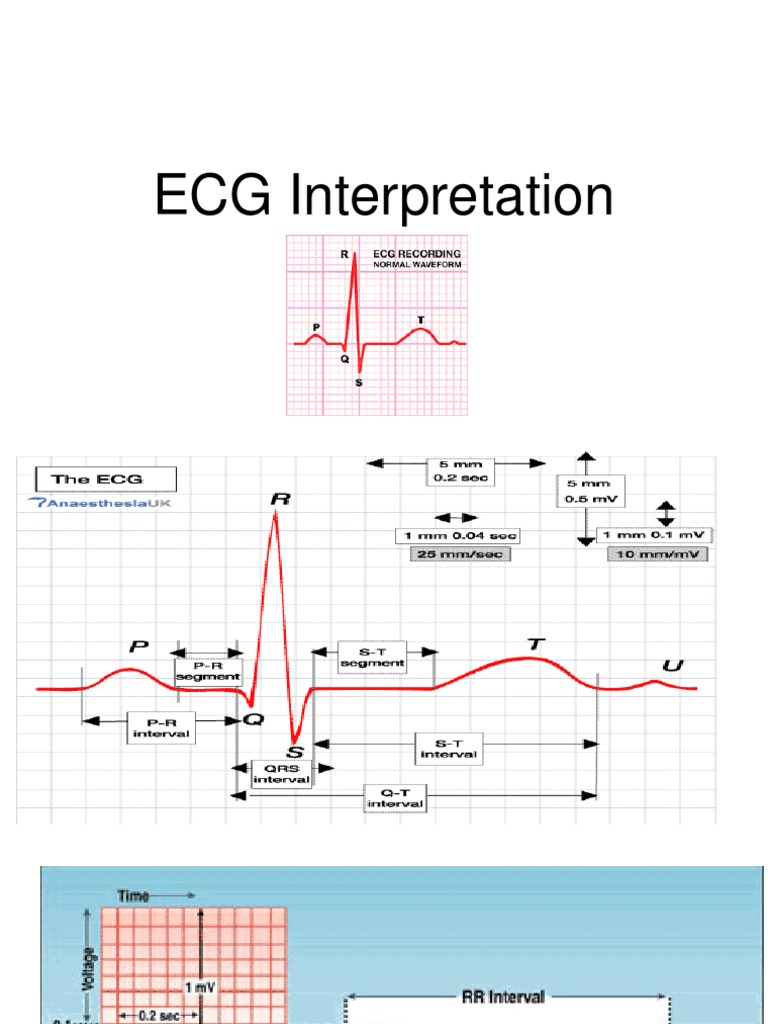 ECG Interpretation | PDF | Electrocardiography | Atrium (Heart)