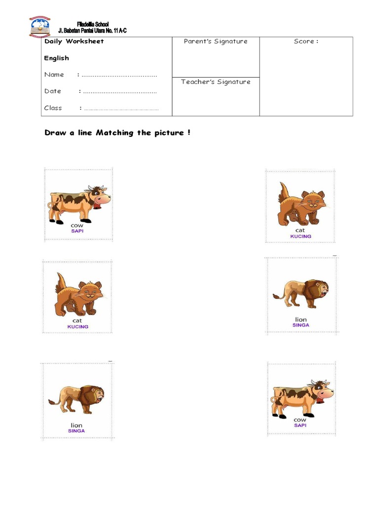 Draw A Line Matching The Picture !: Daily Worksheet English | PDF