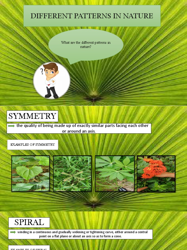 What Are The Different Patterns in Nature? | PDF