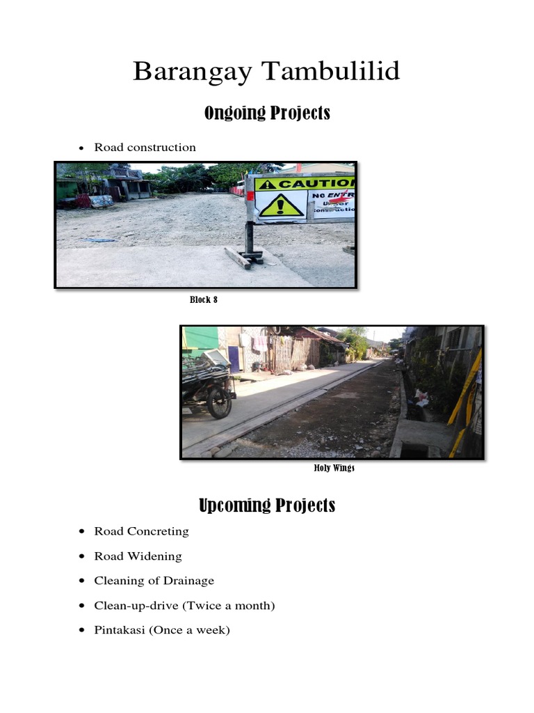 Barangay Tambulilid: Ongoing Projects | PDF