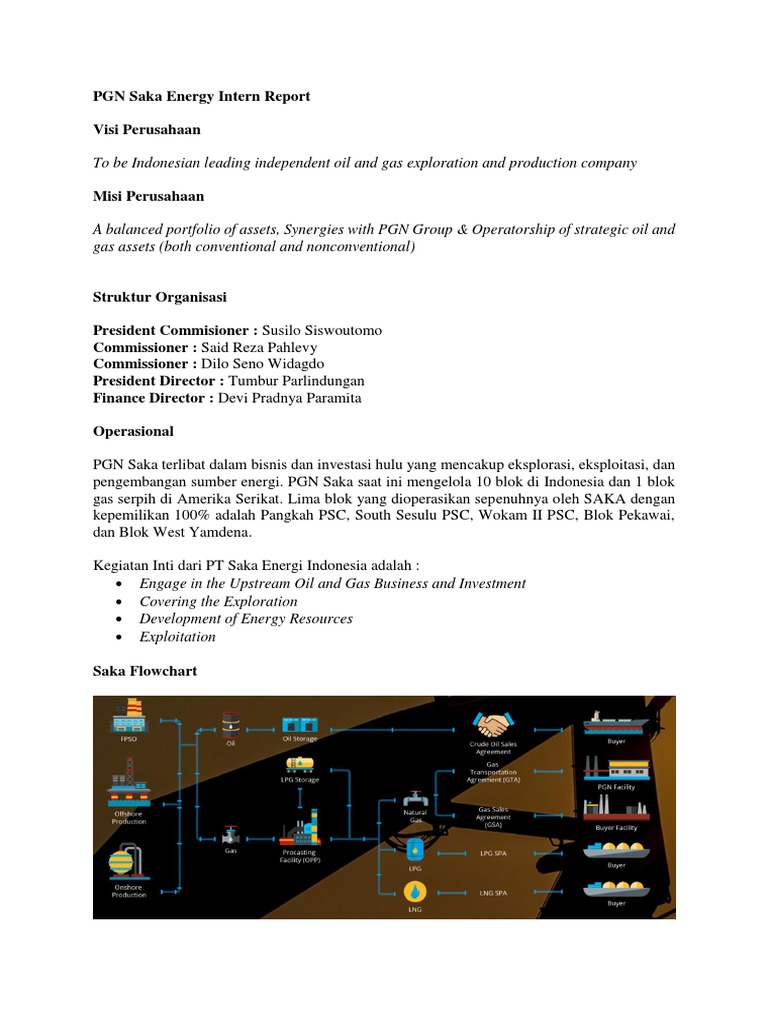 PGN Saka Energy Intern Report | PDF