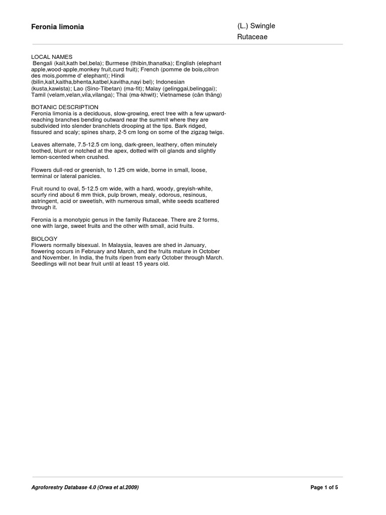 Feronia Limonia: Rutaceae (L.) Swingle | PDF | Trees | Fruit Preserves