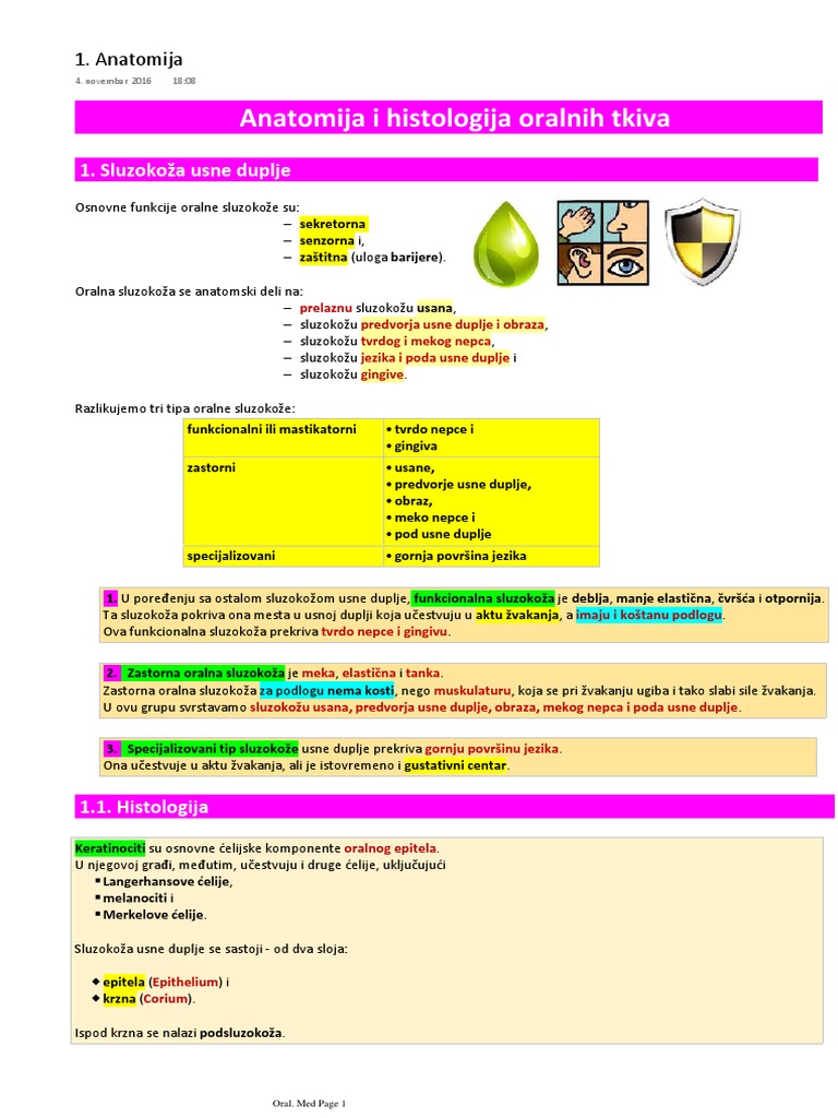 Anatomija I Histologija Oralnih Tkiva | PDF