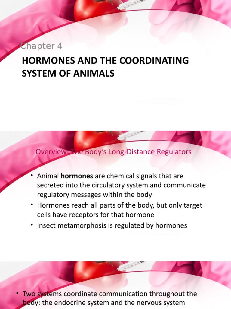 Hormones and The Coordinating System of Animals | PDF | Endocrine ...