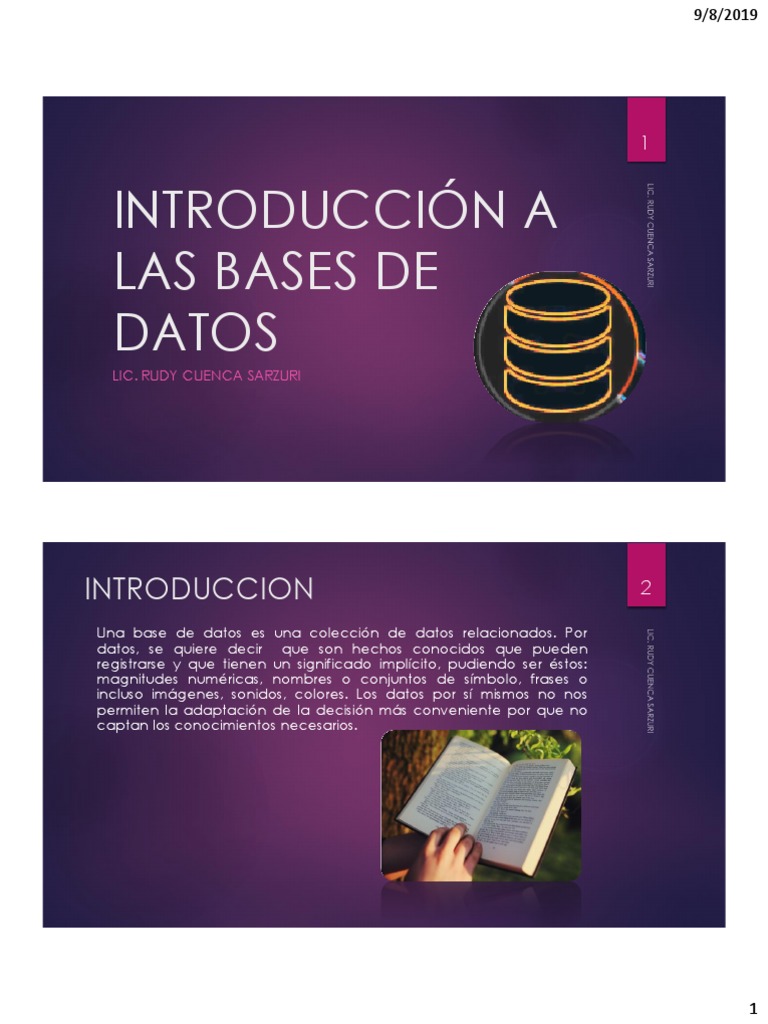 Introducción A Las Bases de Datos1 | PDF | Bases de datos | Sistema operativo