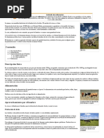 Ciclo de Vida de la Vaca para Niños | PDF | Vacas | Leche