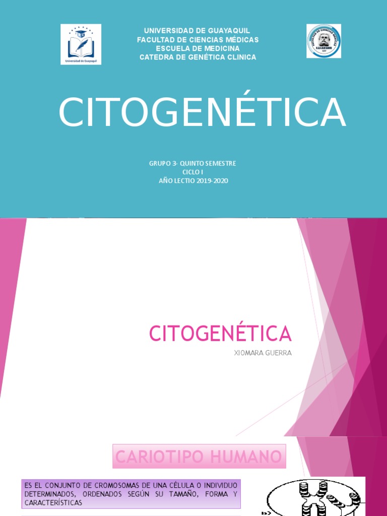 Isodisomía y heterodisomía en citogenética | PDF | Hibridación in situ ...