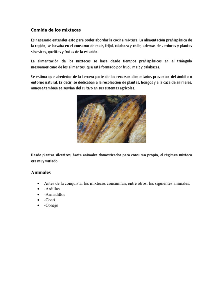 Gastronomía de los Mixtecos: Comida Típica | PDF | Alimentos