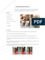 Proyecto-Señor Cabeza de Pasto | PDF