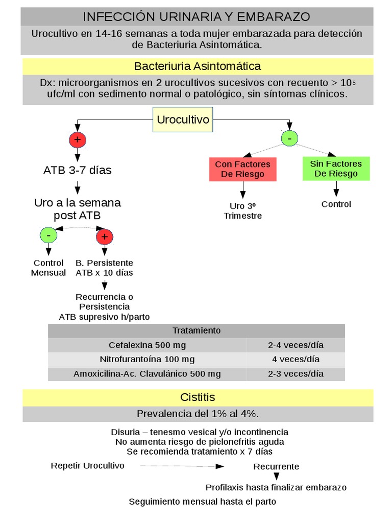 Protocolo Bacteriuria Asintomática | PDF | Inmunología | Rtt