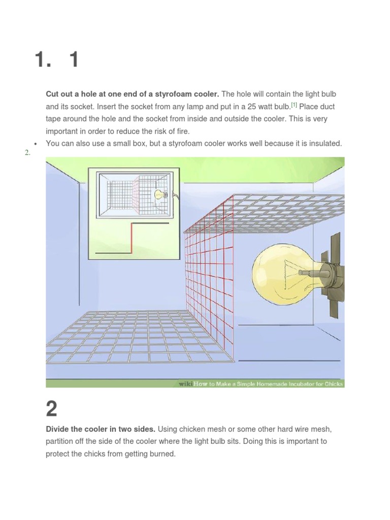 How To Make Incubator | PDF | Chicken | Egg
