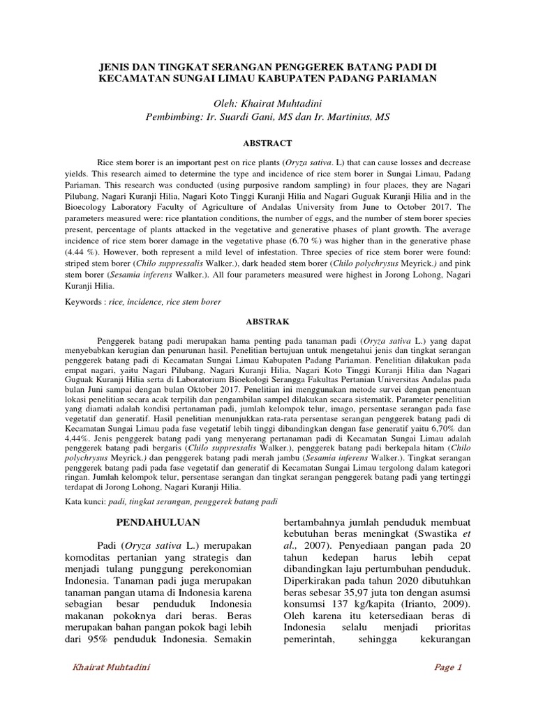 PDF Jurnal Skripsi Khairat PDF | PDF