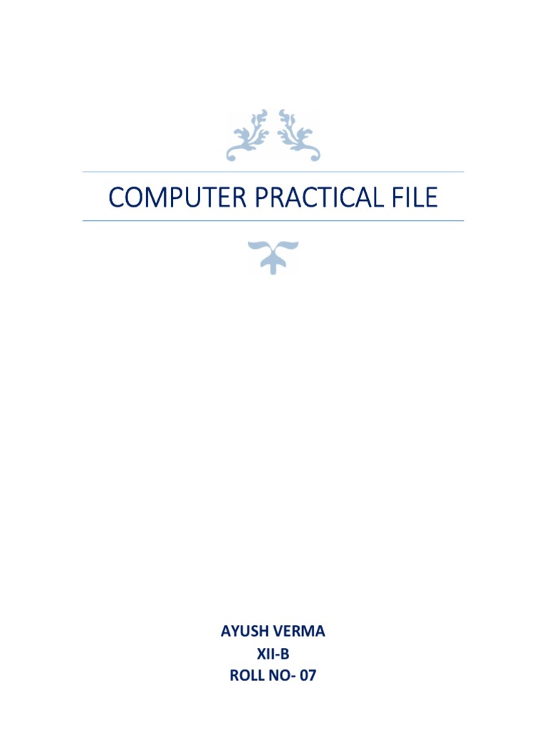 Computer Practical | PDF