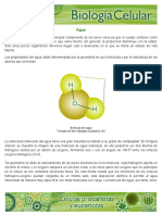 Fundamentos de La Extracción Por Solventes | PDF