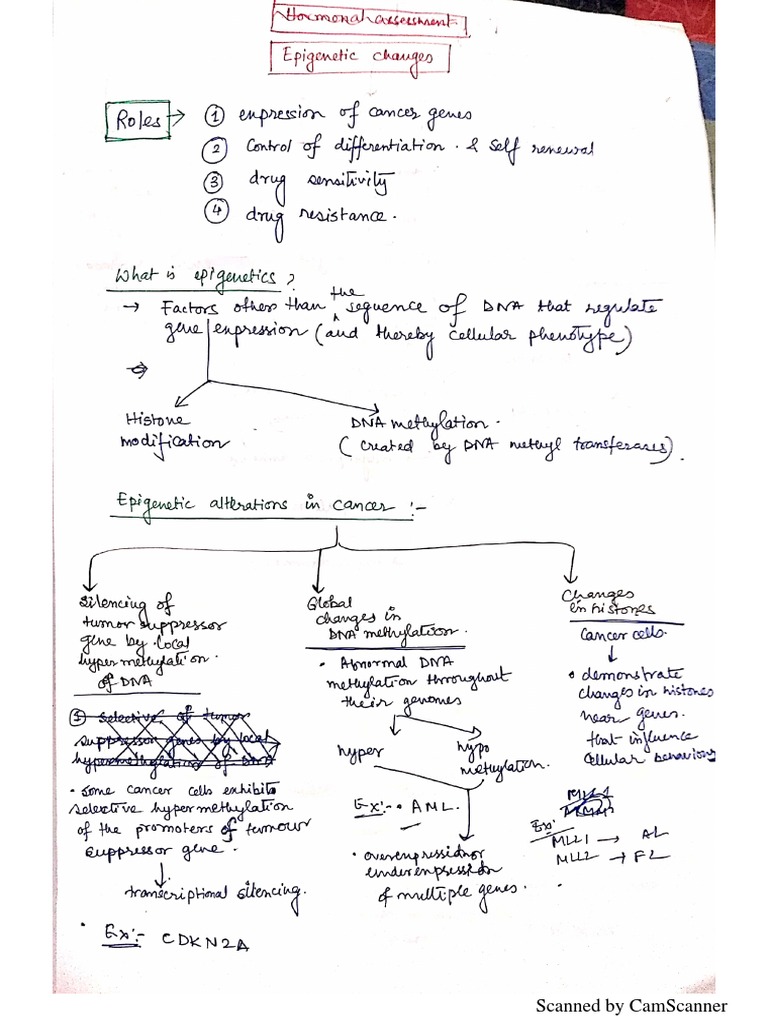 Academic Documents | PDF