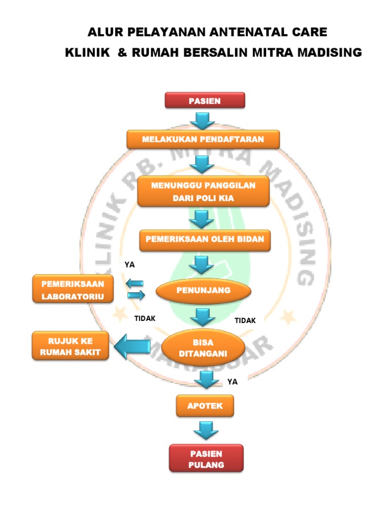Alur Pelayanan Anc | PDF