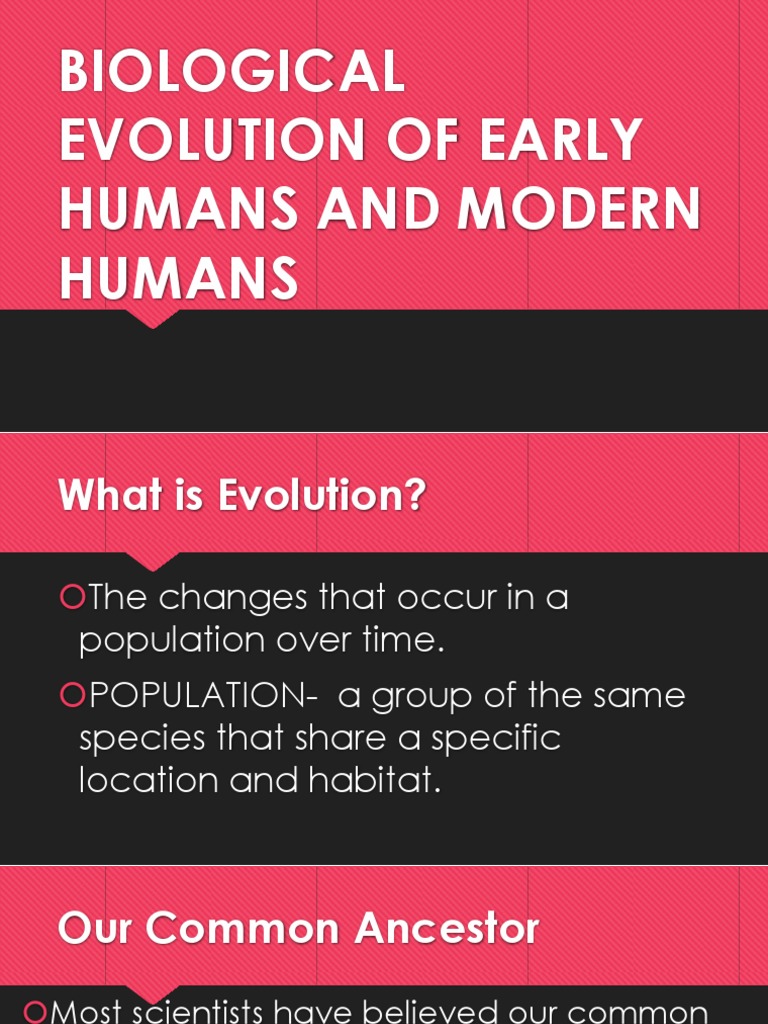 Evolution of Early Humans Explained | PDF | Human Evolution | Homo