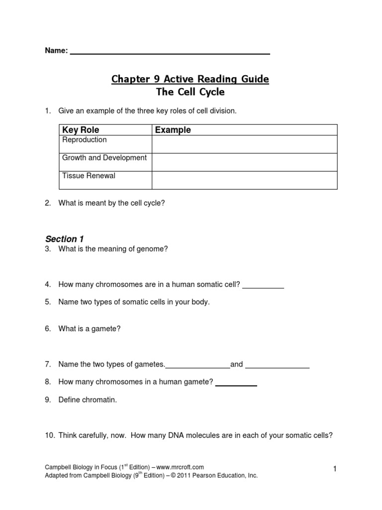 Chapter 9 Active Reading Guide The Cell Cycle: Key Role Example | PDF ...