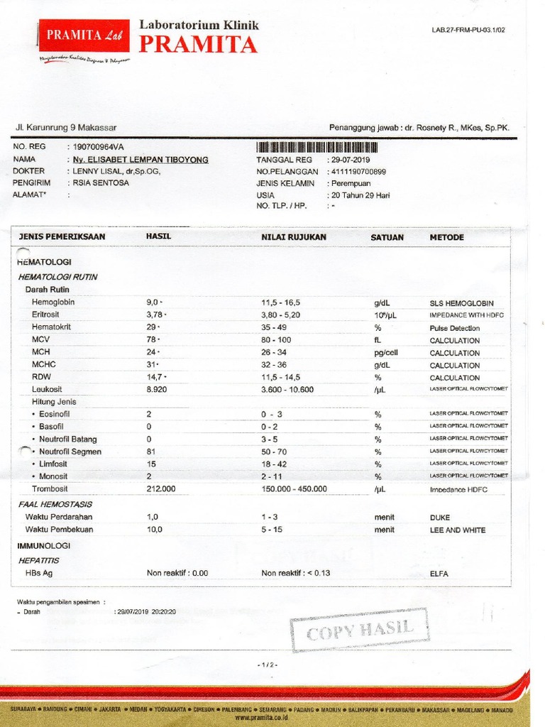 Hasil Lab Pramita | PDF