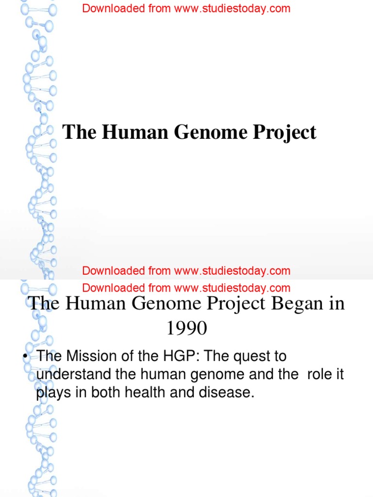 Bio Project Class 12 | PDF | Genome | Human Genome