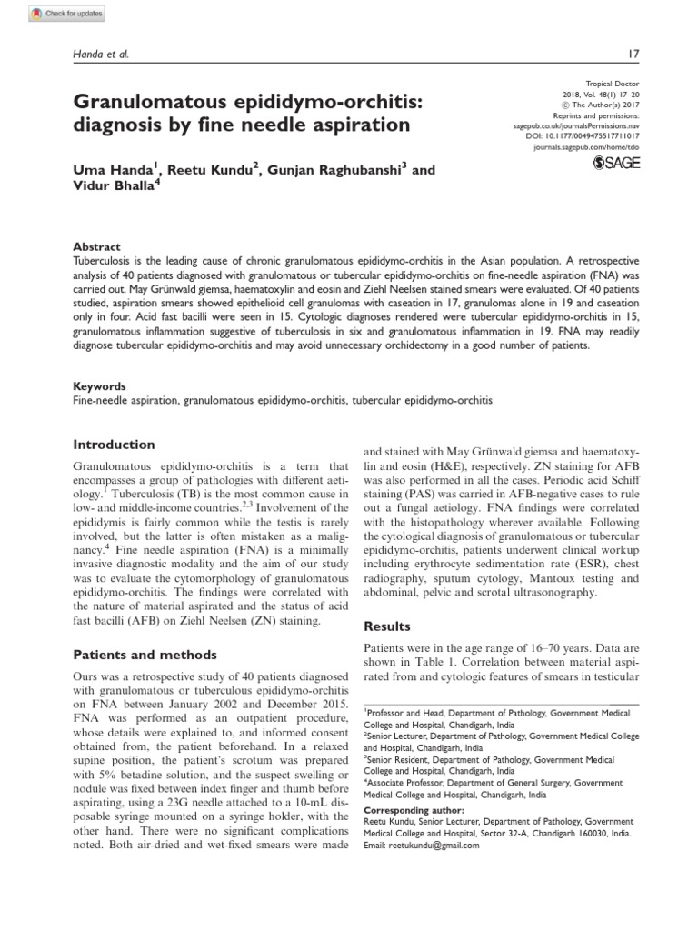 Granulomatous Epididymo-Orchitis: Diagnosis by Fine Needle Aspiration ...
