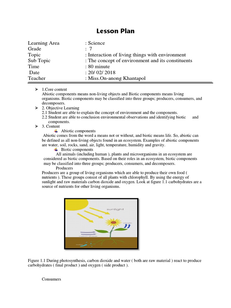 Biotic and Abiotic Components Lesson | PDF | Ecosystem | Ecology