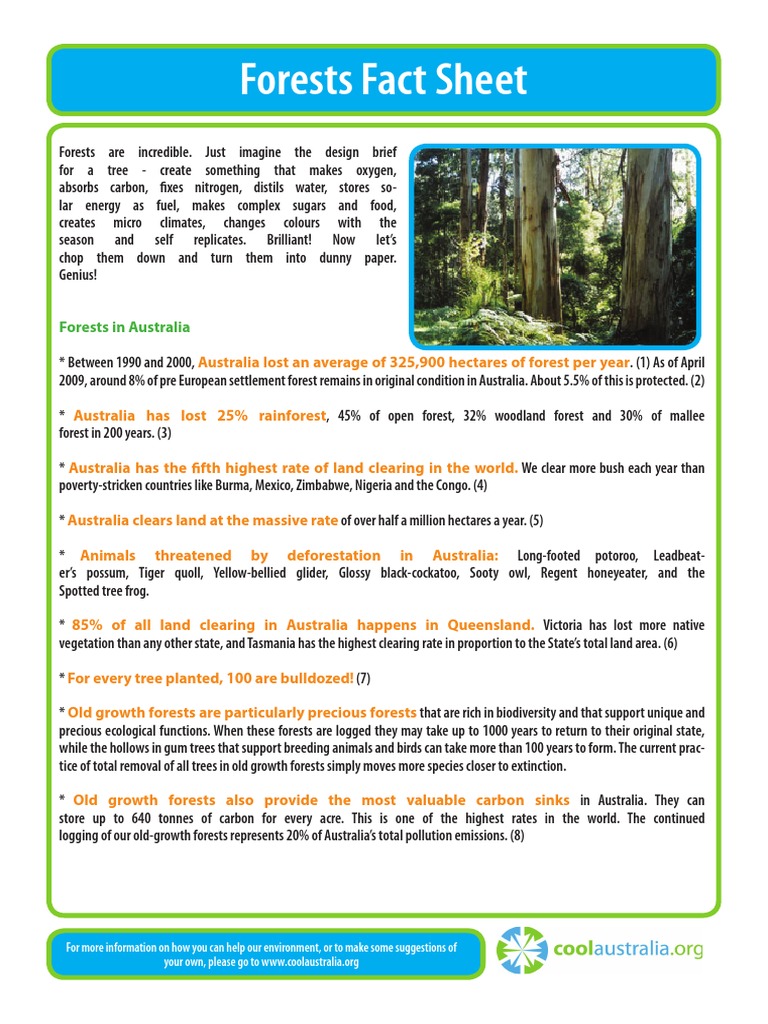 Forests Fact Sheet1 | PDF | Forests | Deforestation