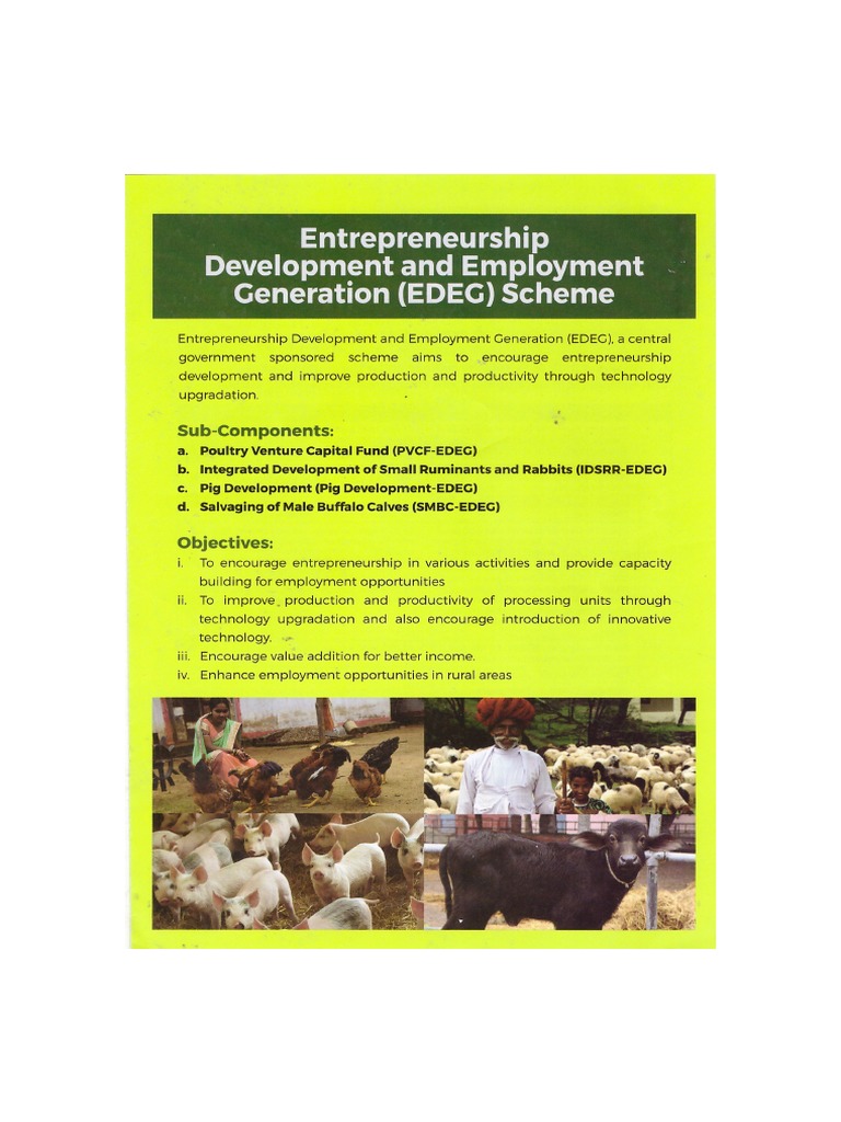 EDEG Pamphlet | PDF