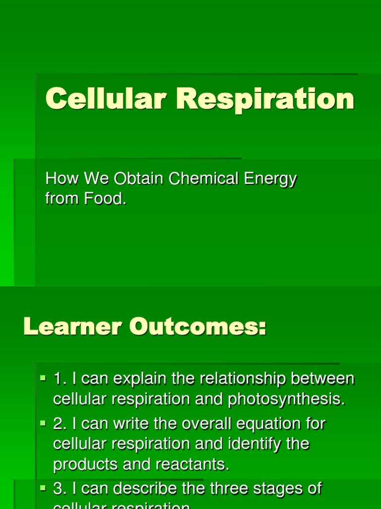 Cellular Respiration: How We Obtain Chemical Energy From Food | PDF ...