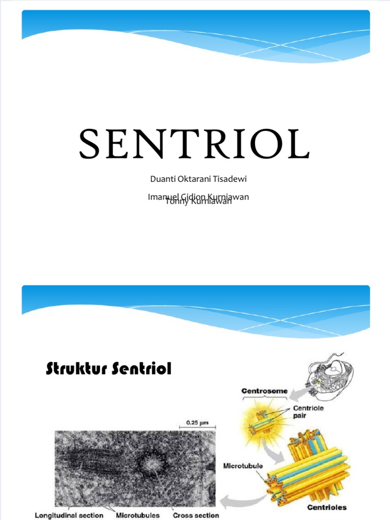 Dokumen - Tips Slide Sentriol | PDF | Mitosis | Cell Anatomy