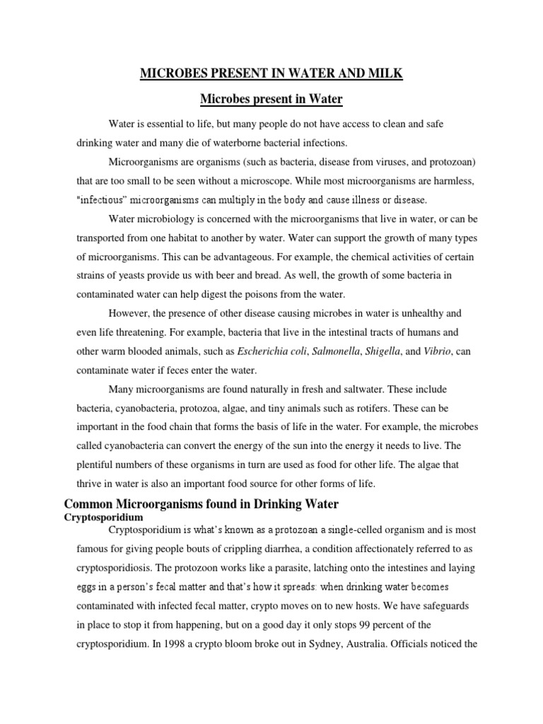Microbes in Water and Milk: Health Risks | PDF | Microorganism | Milk