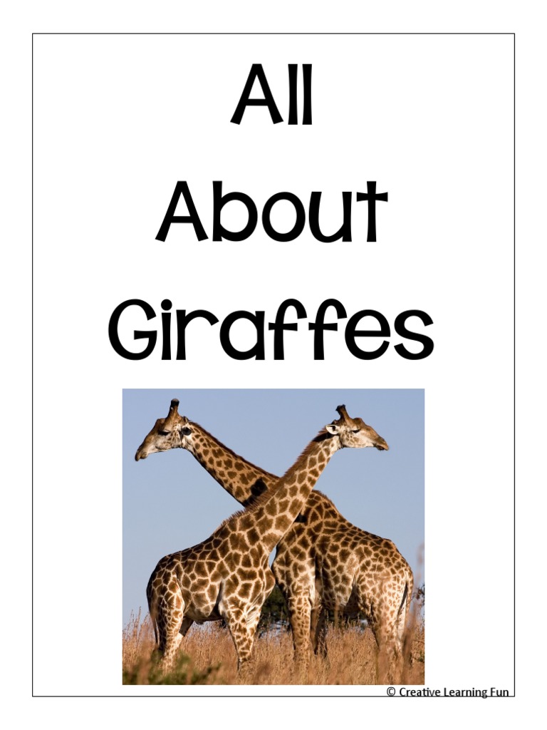 All About Giraffes | PDF | Giraffe | Nature