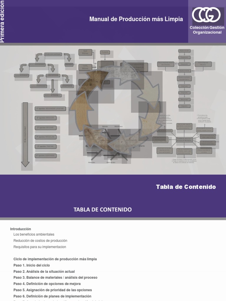 Manual de Producción más Limpia: Una guía integral para mejorar ...