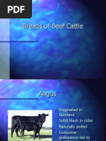 Official List of Breed Codes For Bovine: Beef Breeds | PDF | Livestock ...