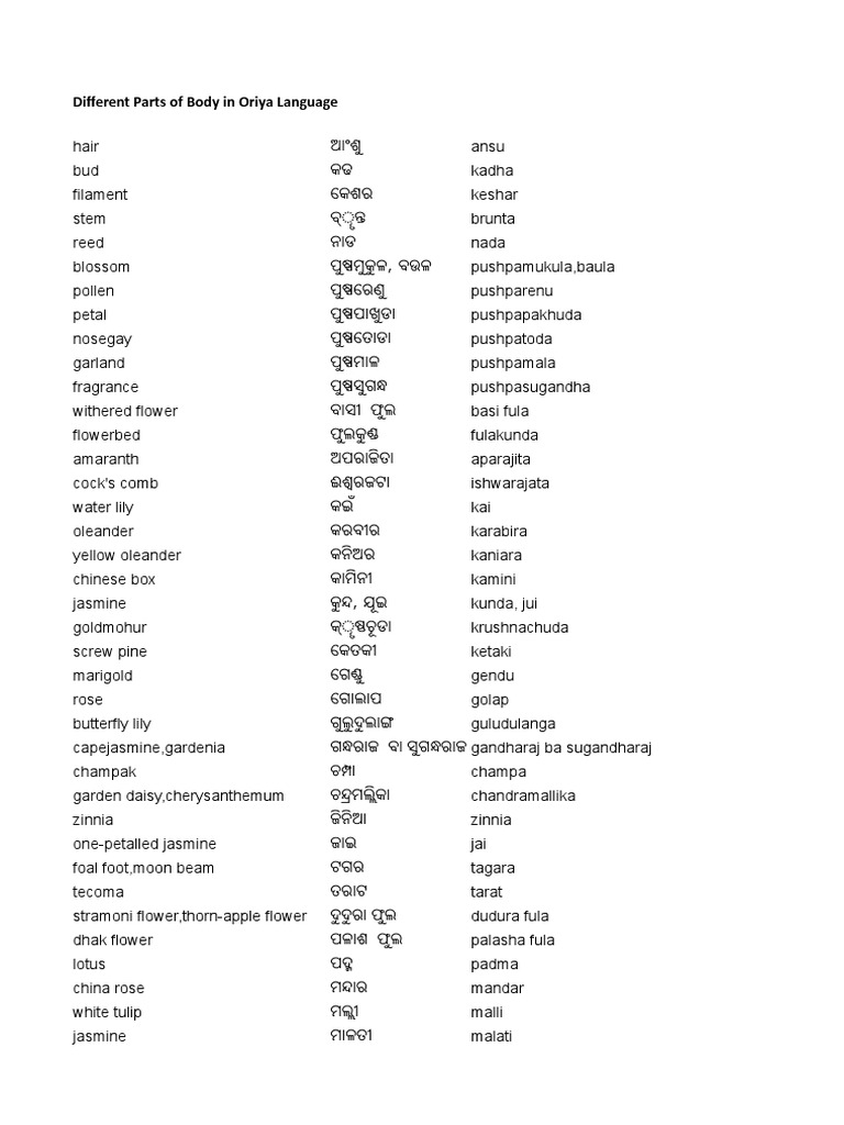English Odia Word Book | PDF | Snake | Flowers