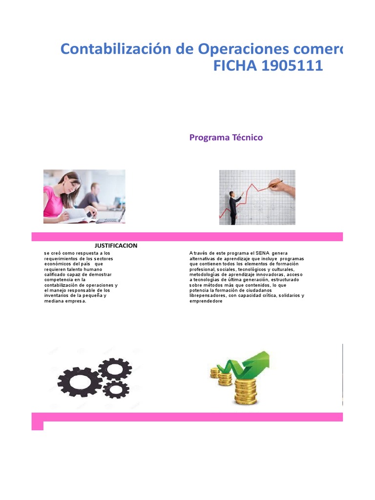 Infografia | PDF | Contabilidad | Software